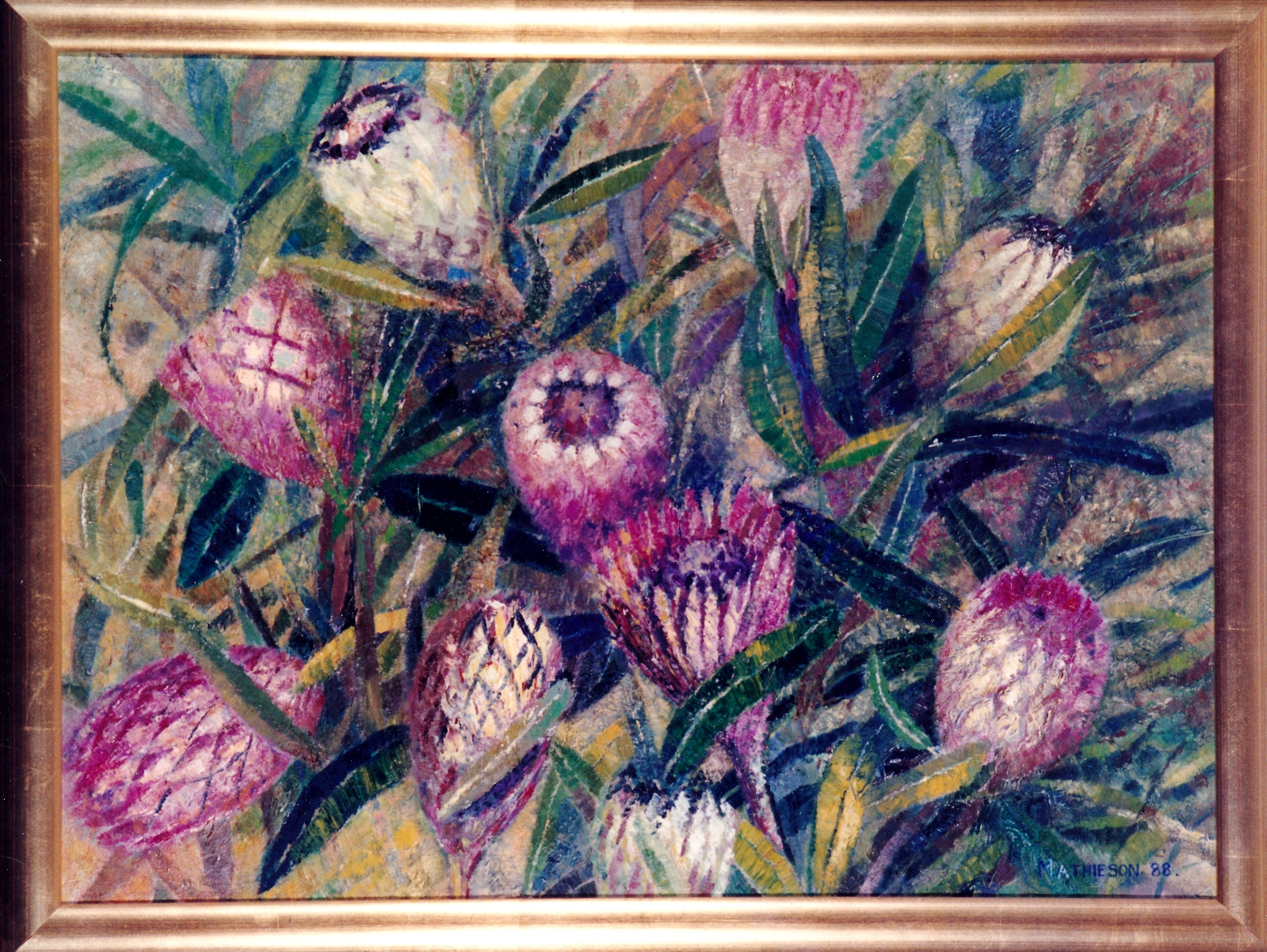 Proteas . oil on canvas 1988. Private Collection – Christine Mathieson